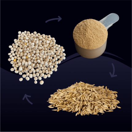 Studmaster - Complete Horse Feed with BMC | Pegasus Feed